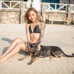 GetAllMyLinks - TinyModelThuy
